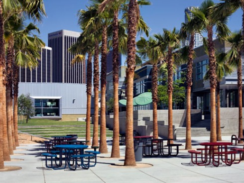 BAUWELT - Miguel Contreras Learning Complex